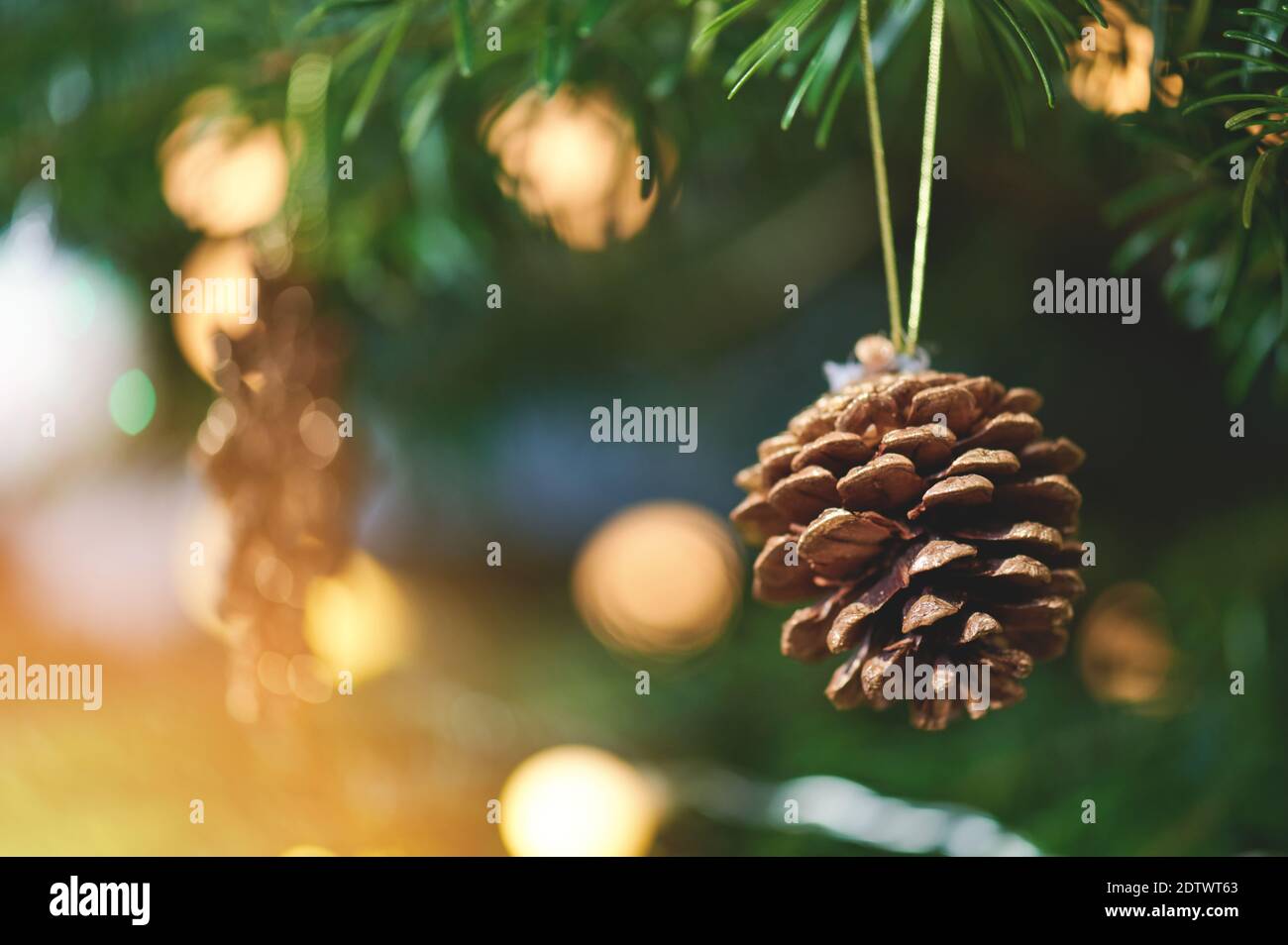 Pine cone hanging on decorated hi-res stock photography and images - Alamy