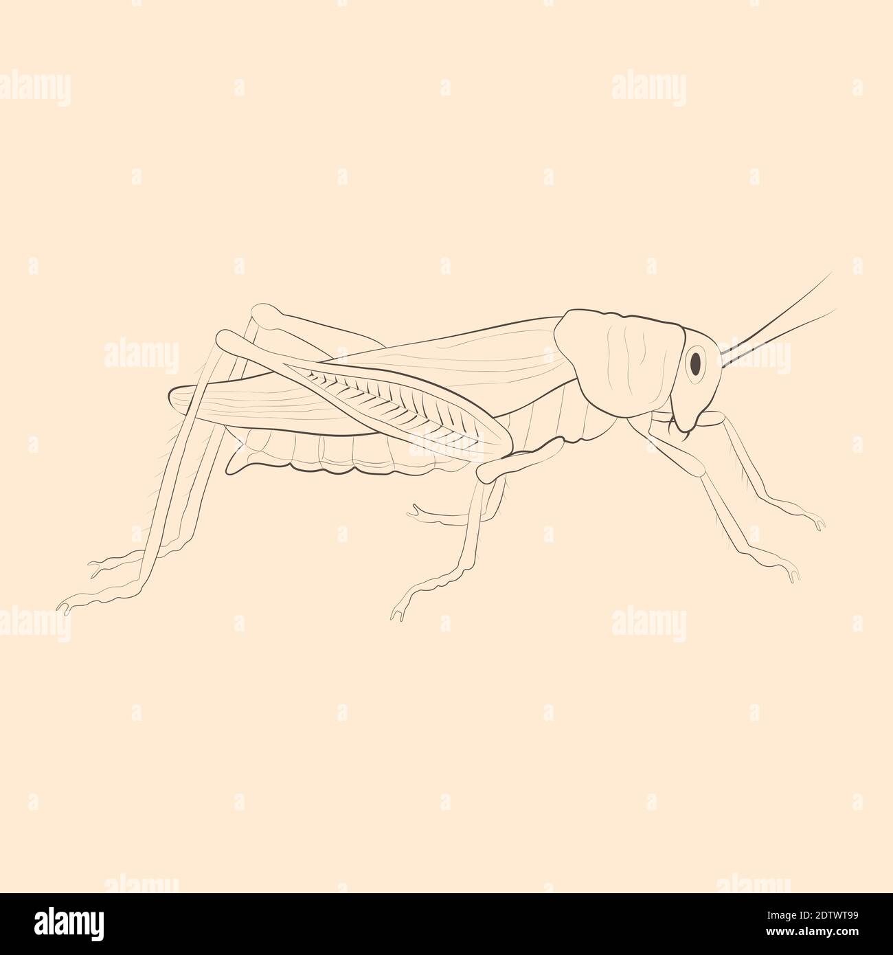 Micro fauna Stock Vector Images - Alamy