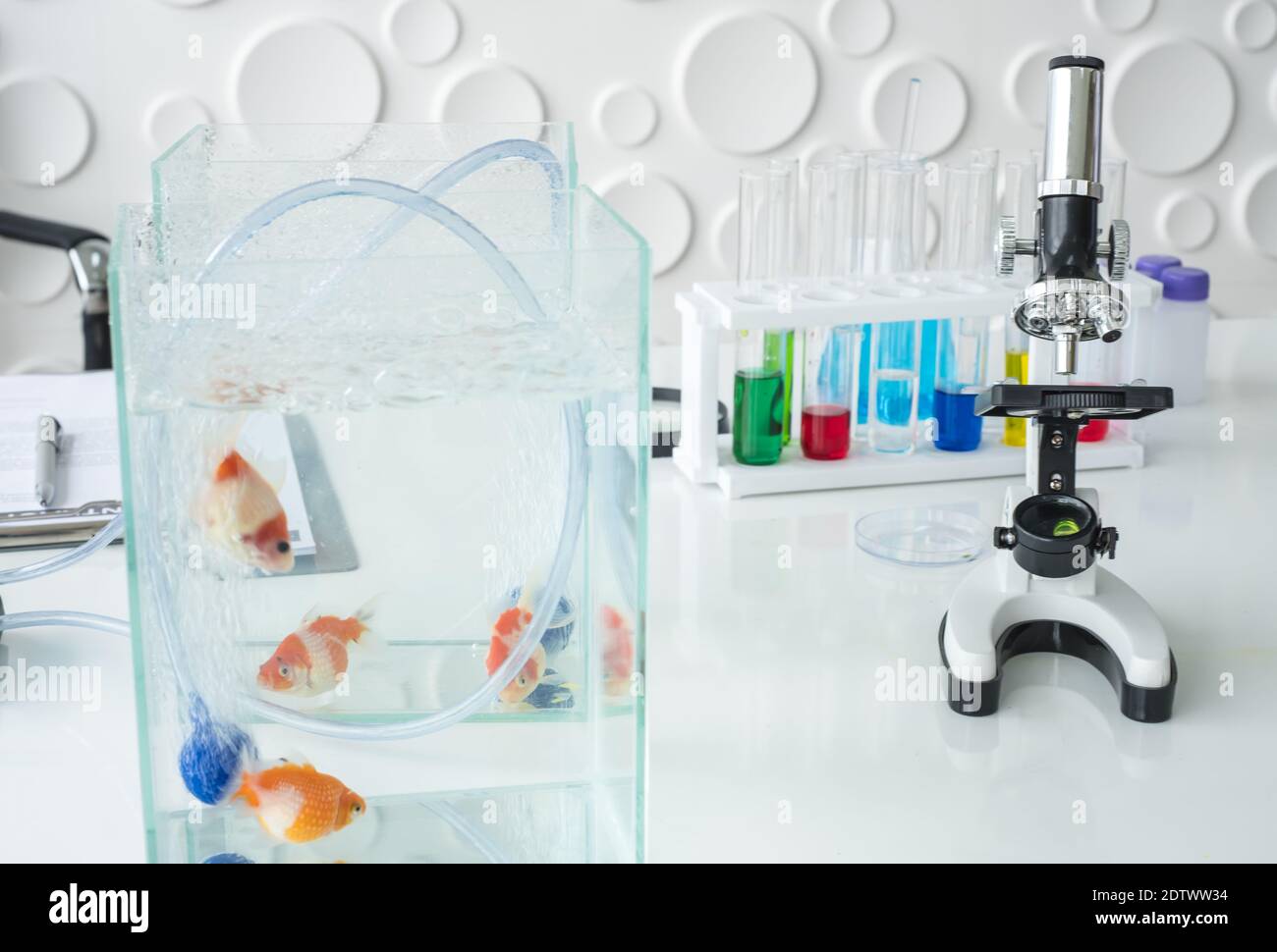 Laboratory glassware fish hi-res stock photography and images - Alamy