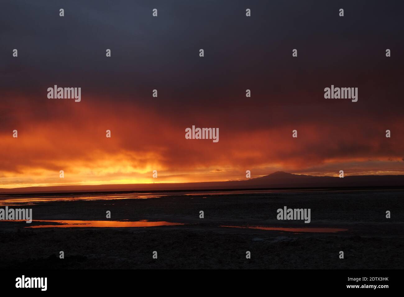 Sunsetting eyes hi-res stock photography and images - Alamy