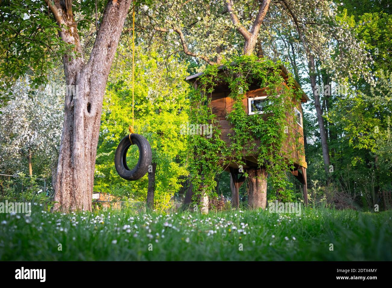 House on tree in green spring garden Stock Photo - Alamy
