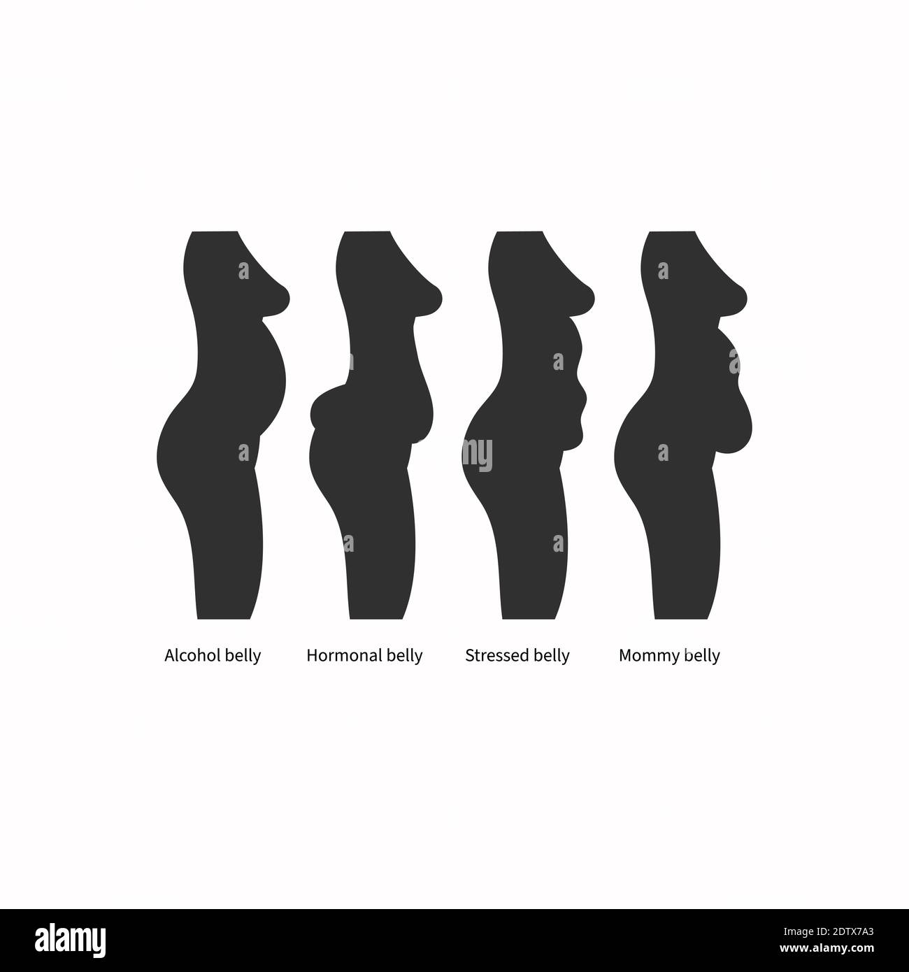 Female Belly Types