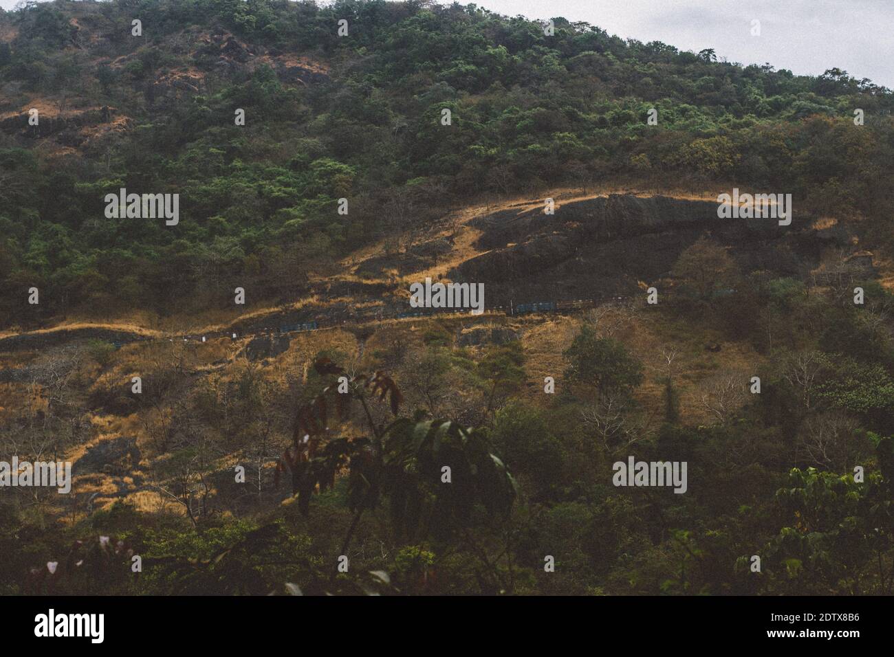 Cultures of goa hi-res stock photography and images - Alamy