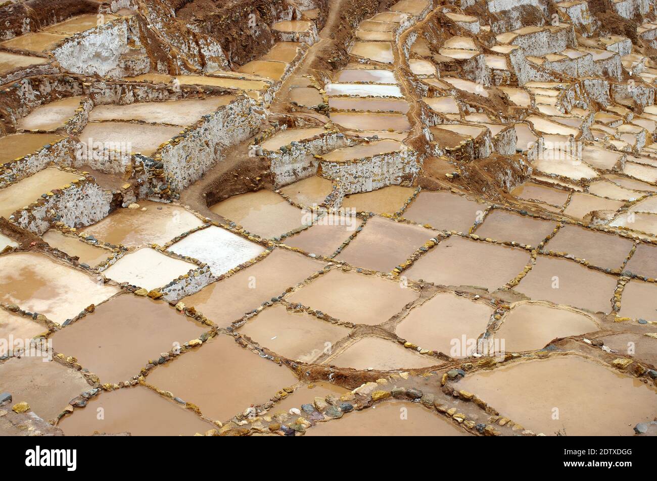 Indian salt field hi-res stock photography and images - Alamy
