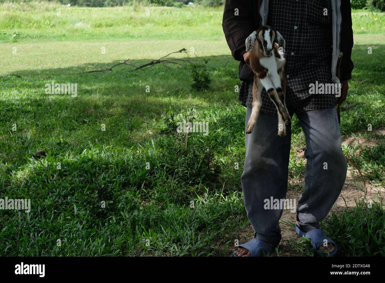 Part goat part man hi-res stock photography and images - Alamy