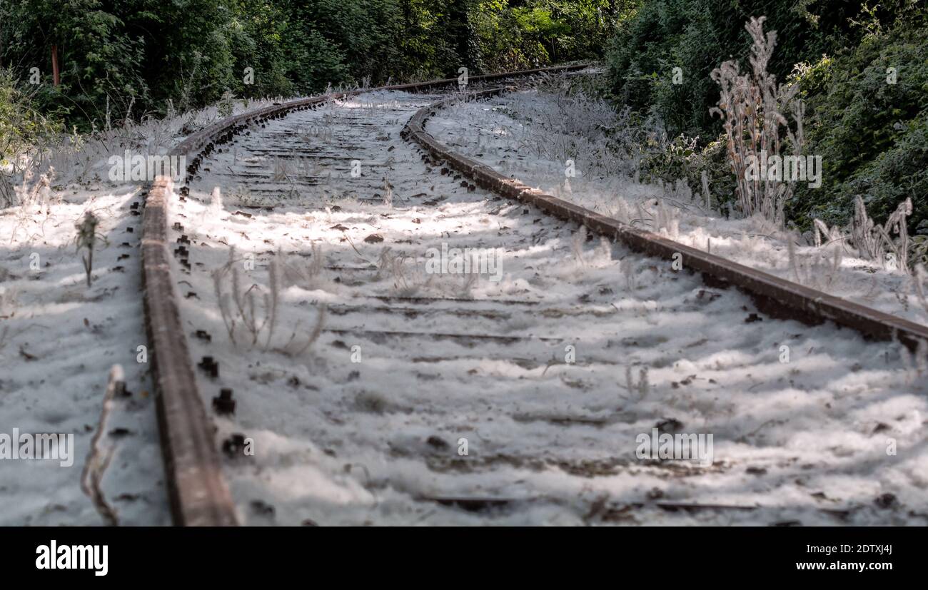 Rail tracks mud hi-res stock photography and images - Alamy