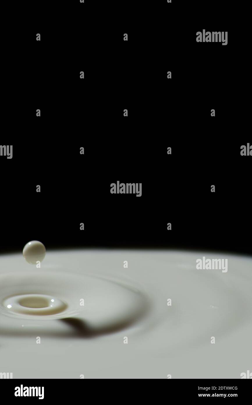 A vertical shot of a drop of milk falling on a black background Stock ...