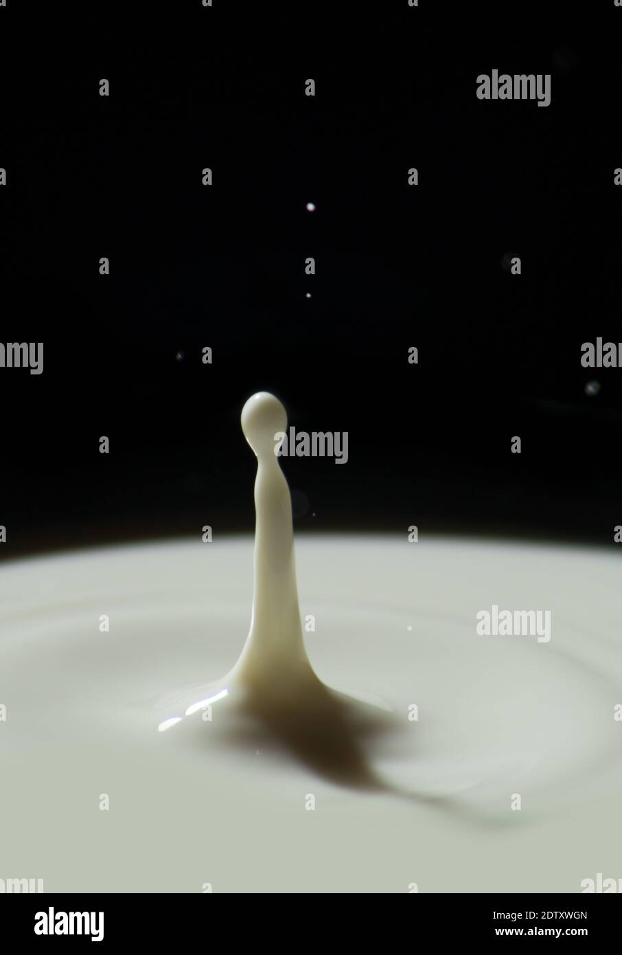A vertical shot of a drop of milk falling on a black background Stock ...