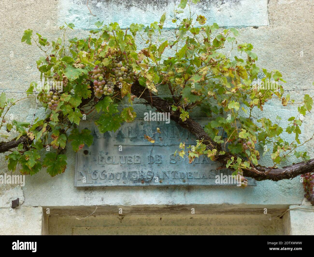 signs at houses at sluice alongside Canal du Nivernais in Bourgogne ...