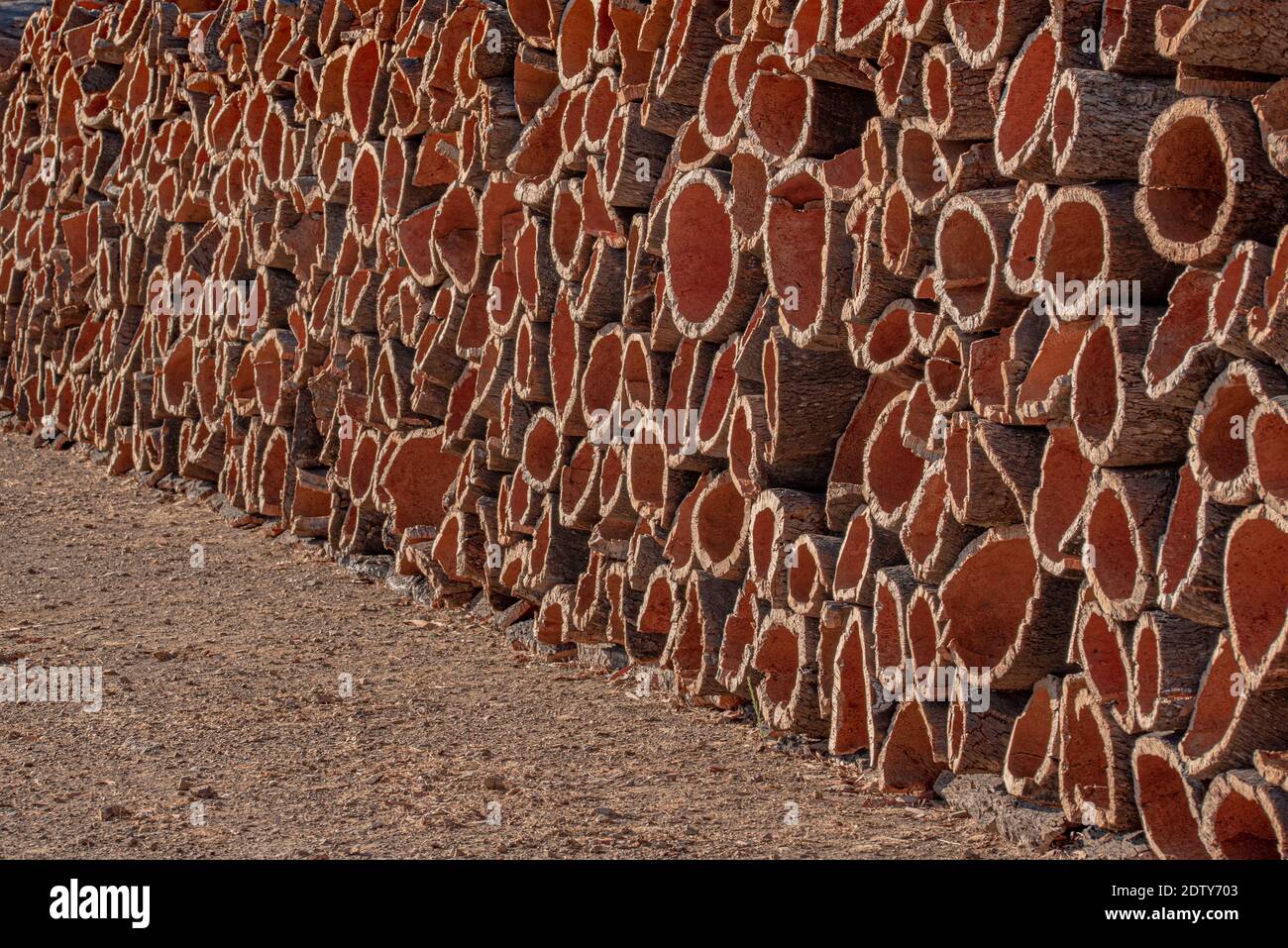Cork industry and cork harvesting Stock Photo - Alamy