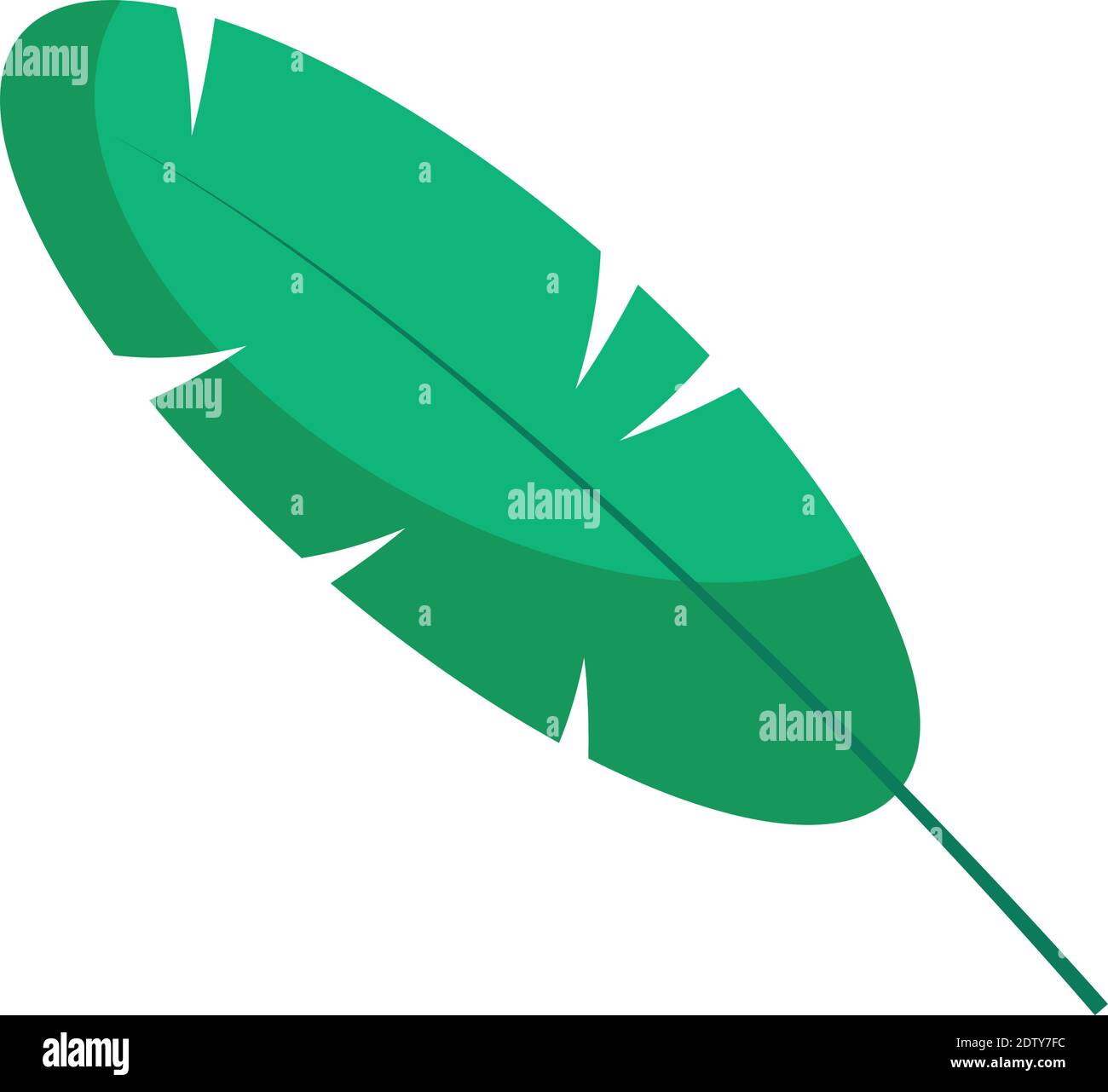 Oblong leaf Stock Vector Images - Alamy