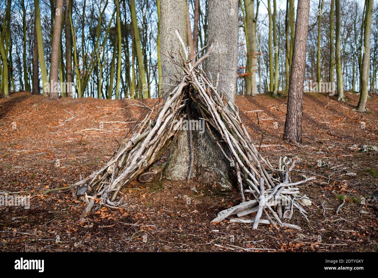 Hut Made Of Branches High Resolution Stock Photography and Images - Alamy