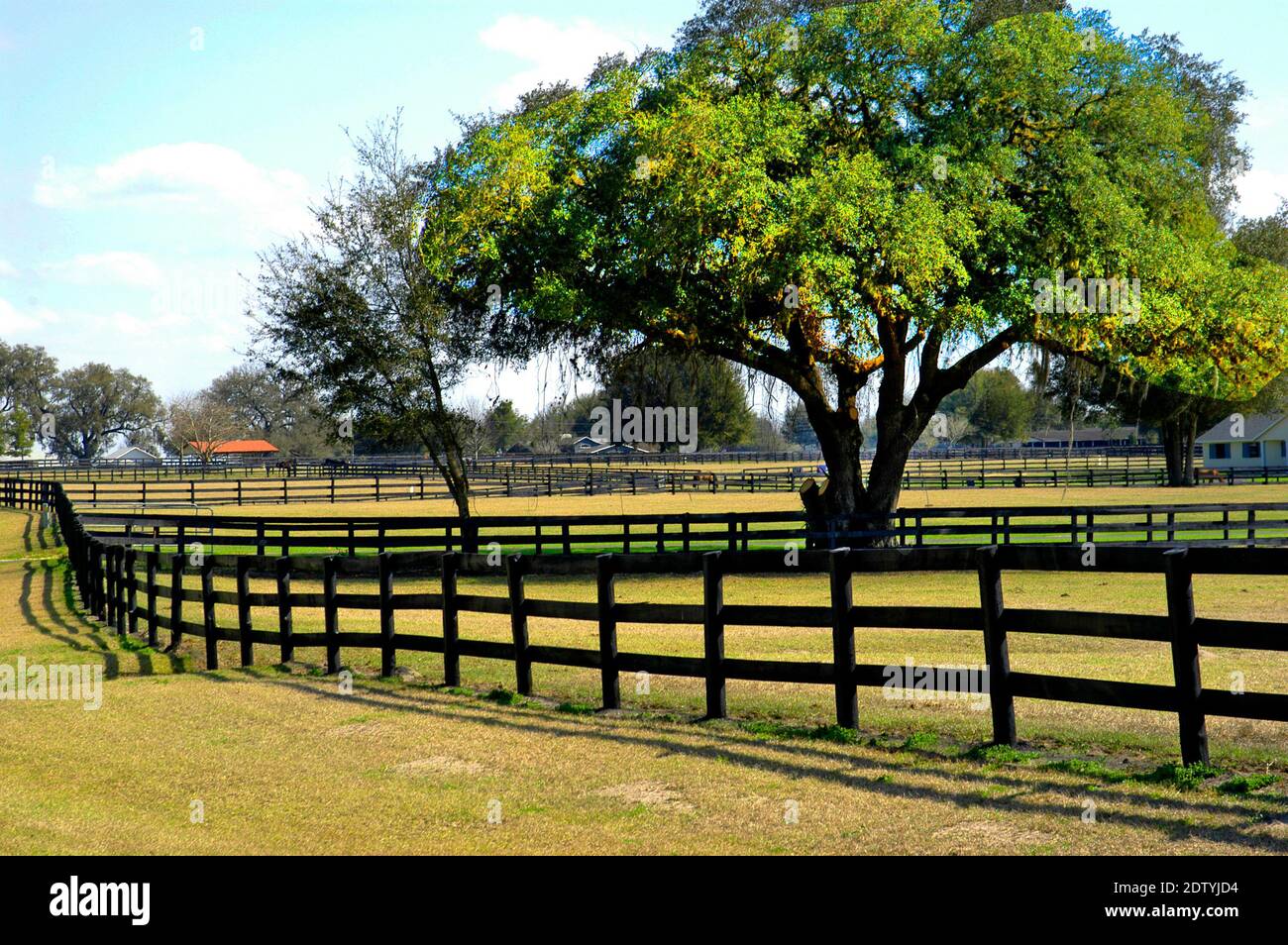 INDIAN Hills racing Horse Farm Ocalla Florida Stock Photo - Alamy