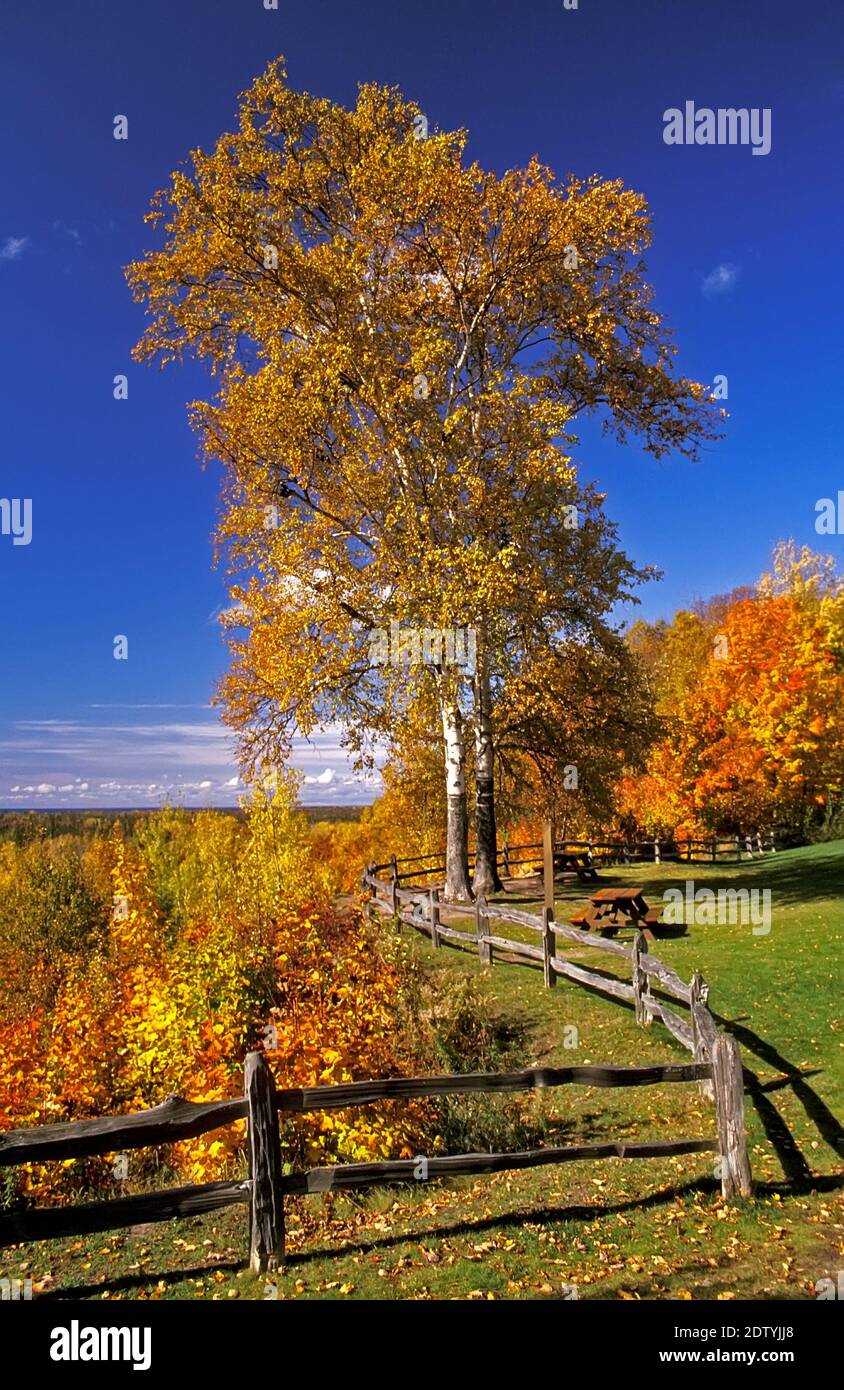 Michigan fall color scenic in the Upper Peninsula during fall colors ...