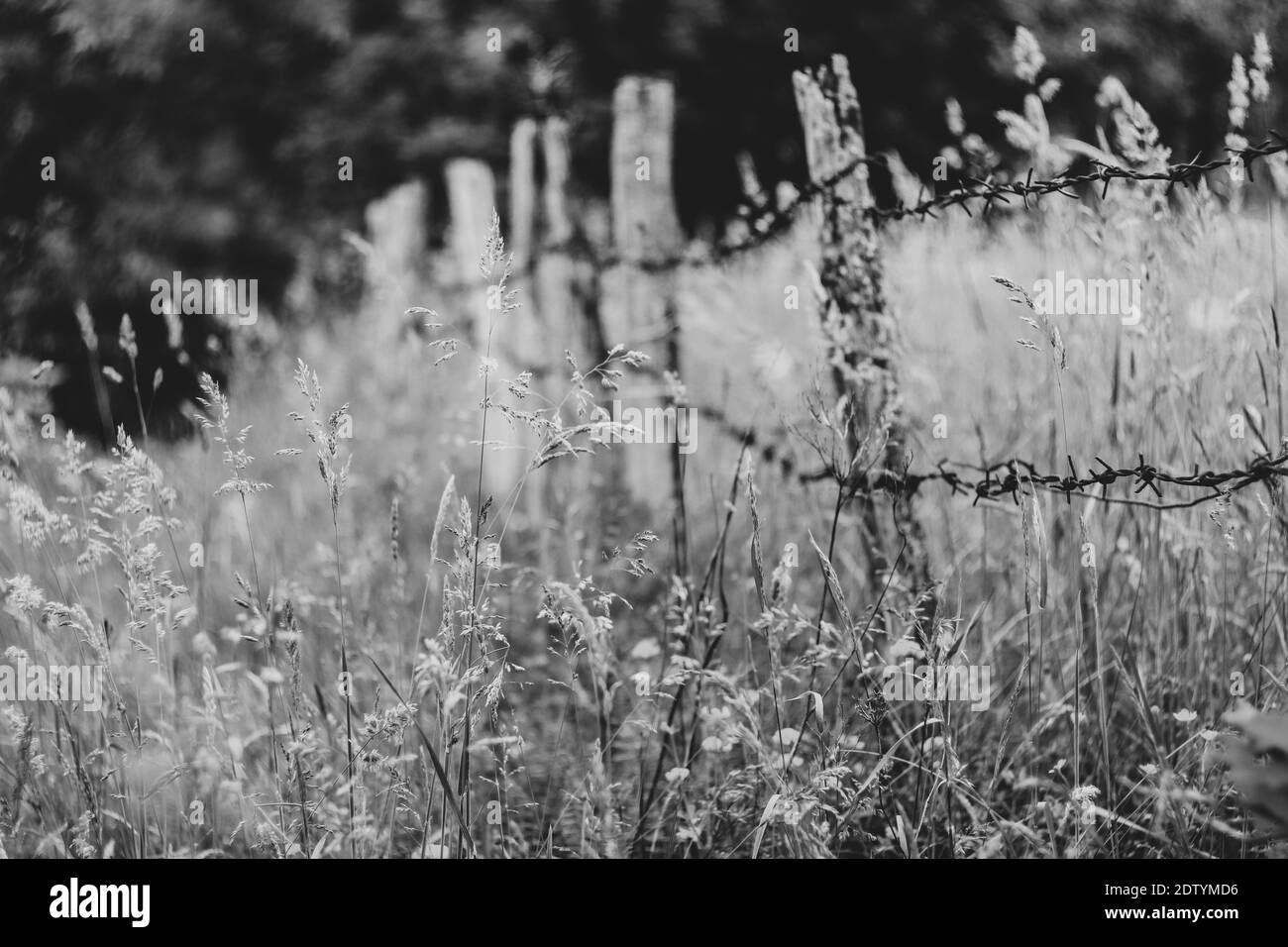 Unchain hi-res stock photography and images - Alamy