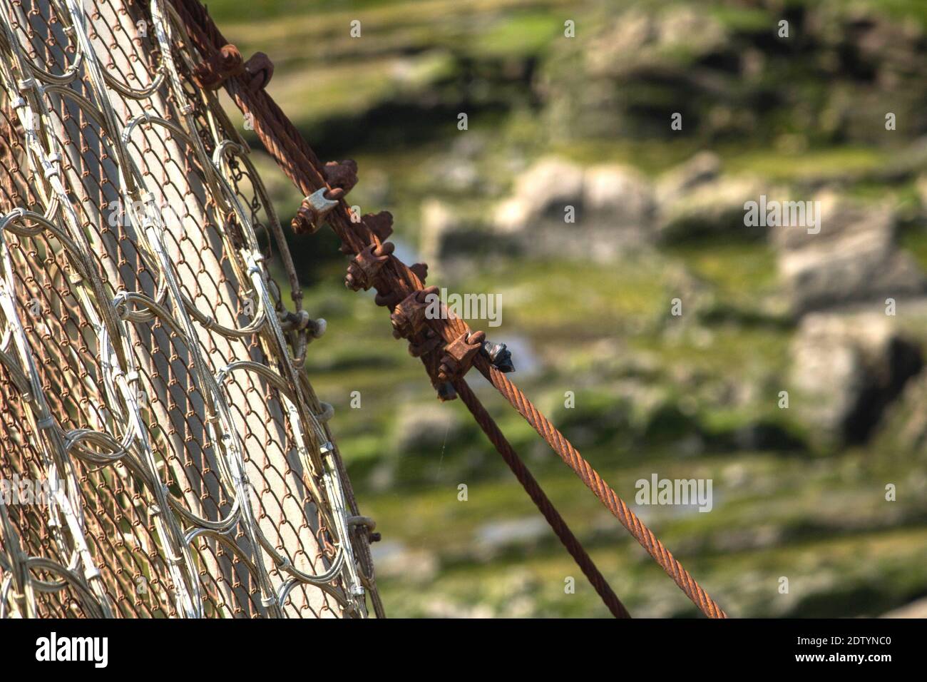 Tree barbed wire trunk hi-res stock photography and images - Alamy