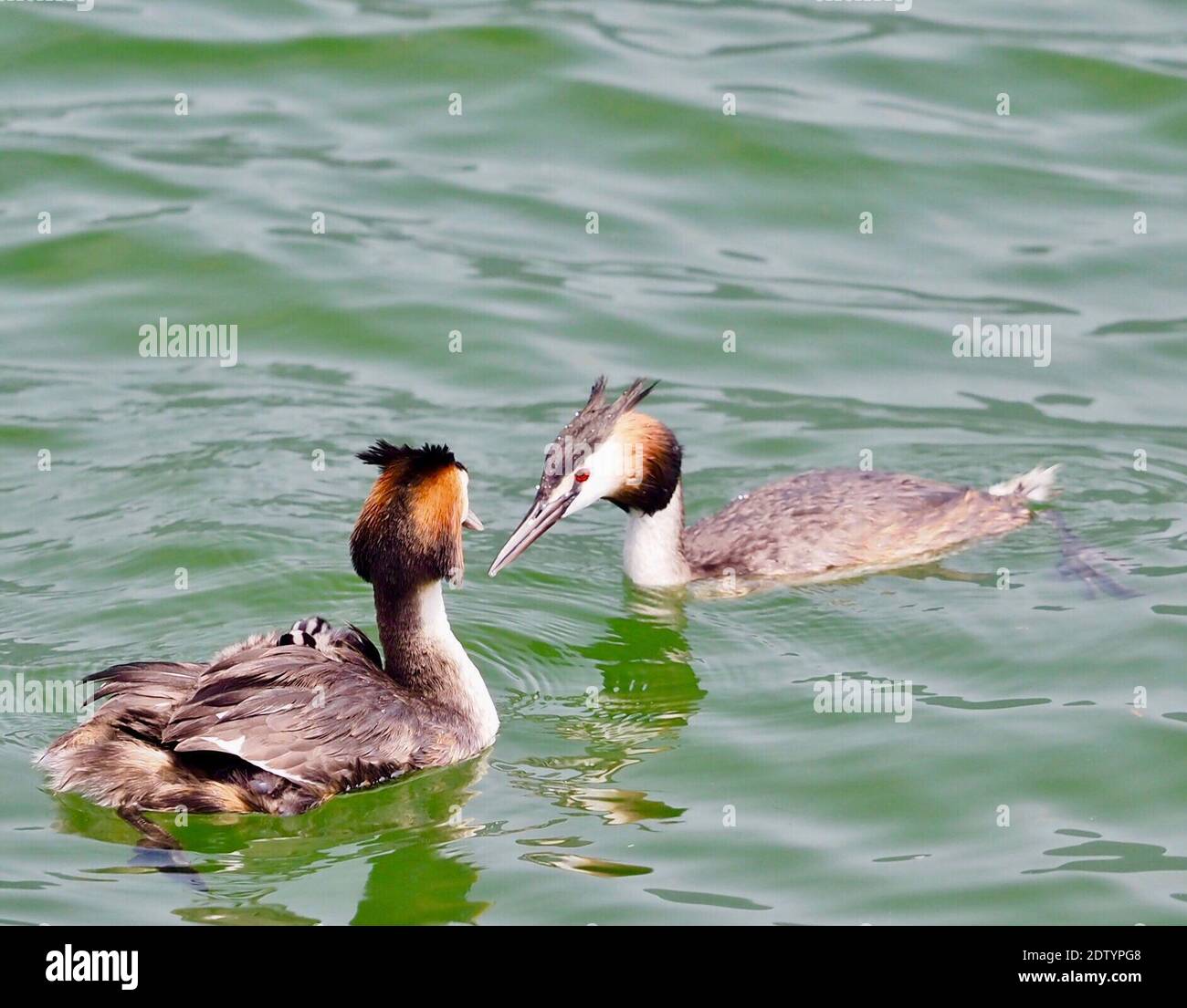 Duffy lake hi-res stock photography and images - Alamy