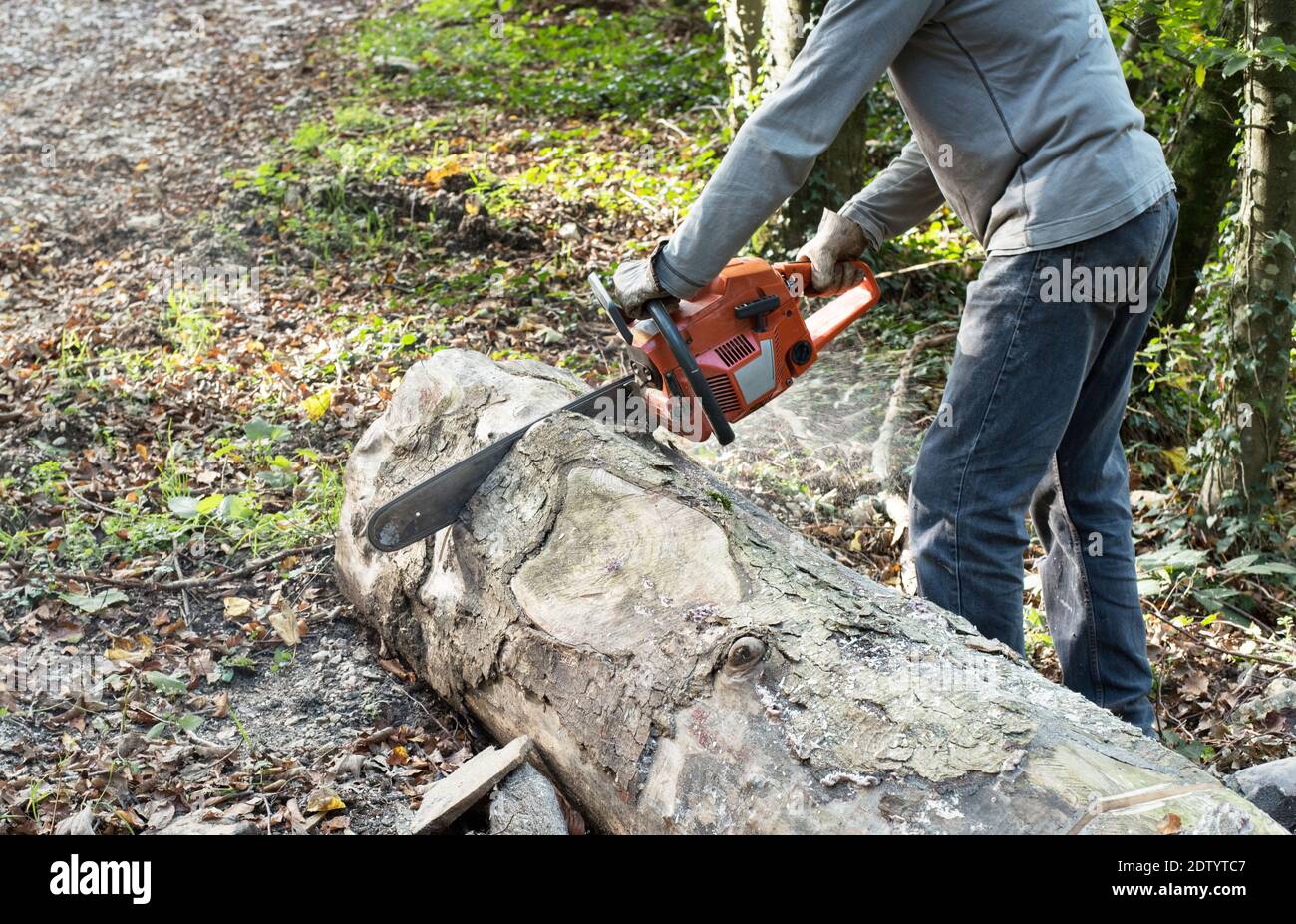 A man with a chainsaw. Sawdust fly to the sides. Industrial ...