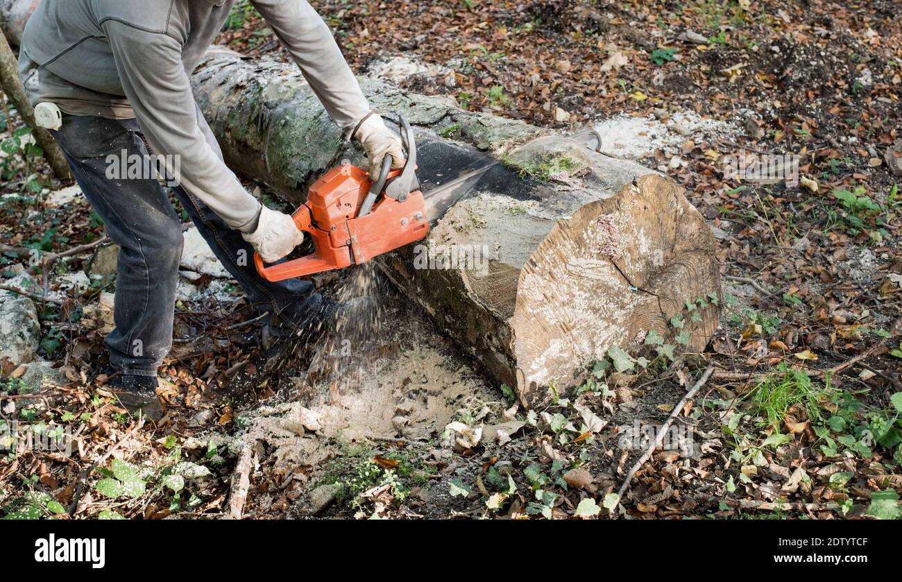A man with a chainsaw. Sawdust fly to the sides. Industrial ...