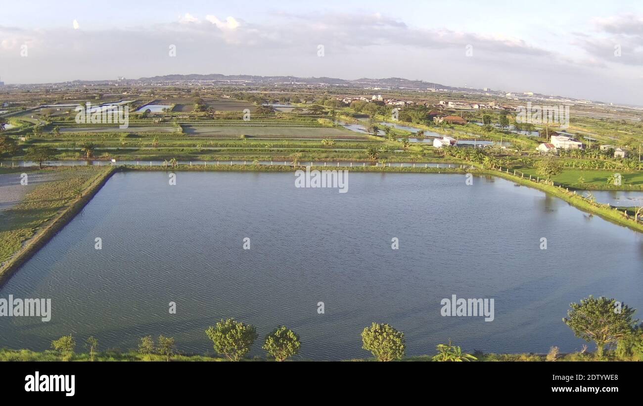 An aerial view cultivated landscape view with many small ponds Stock ...