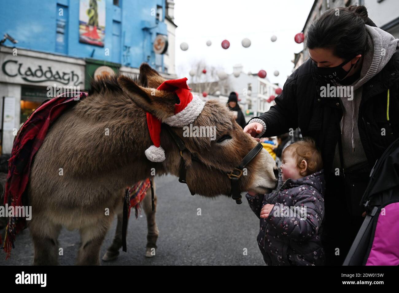 Sofia Fox's Instagram, Twitter & Facebook on IDCrawl