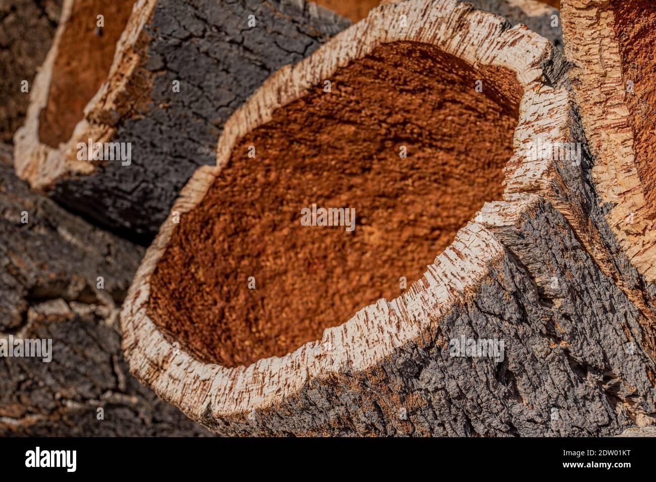 Cork industry and cork harvesting Stock Photo - Alamy