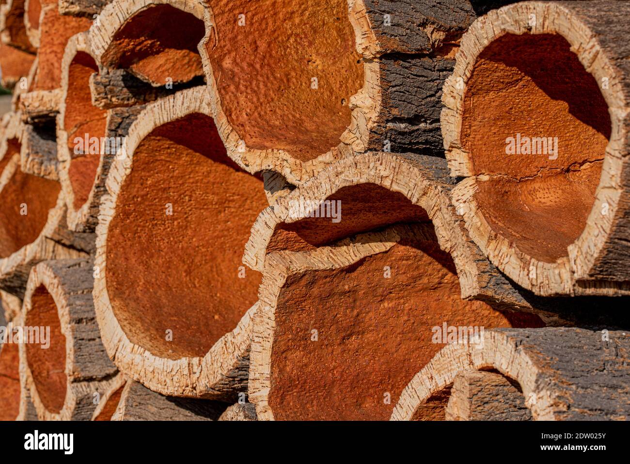 Cork industry and cork harvesting Stock Photo - Alamy