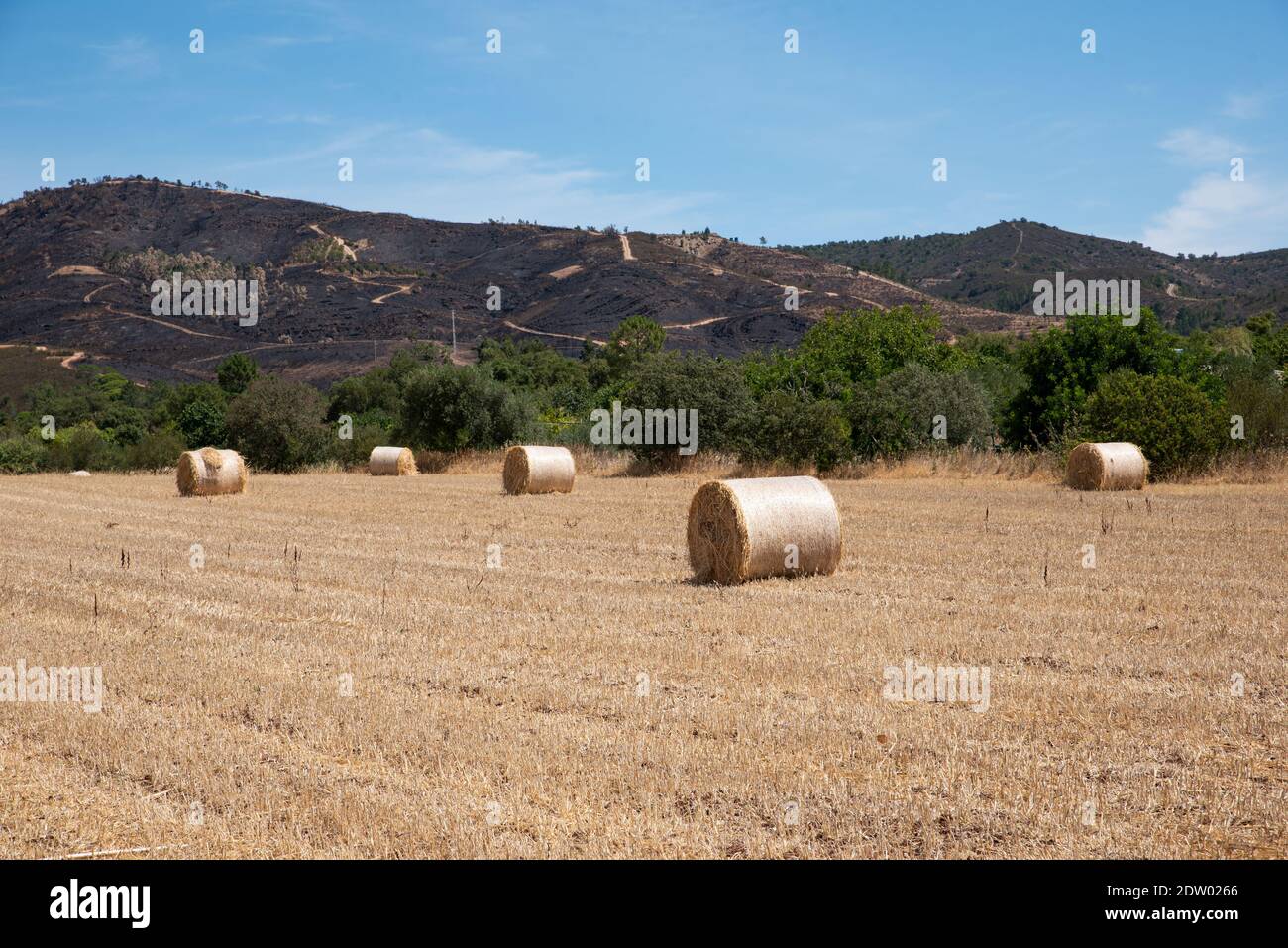 Straw wrapped in rolls Stock Photo - Alamy