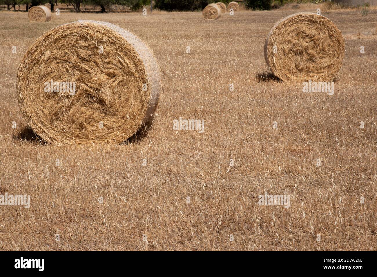 Straw wrapped in rolls Stock Photo - Alamy