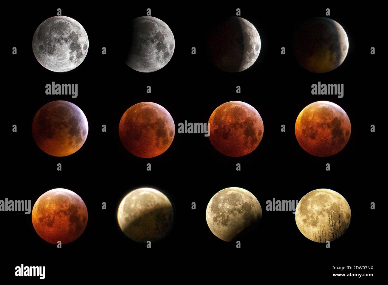 Composite image of lunar eclipse showing progressive phases in silver ...