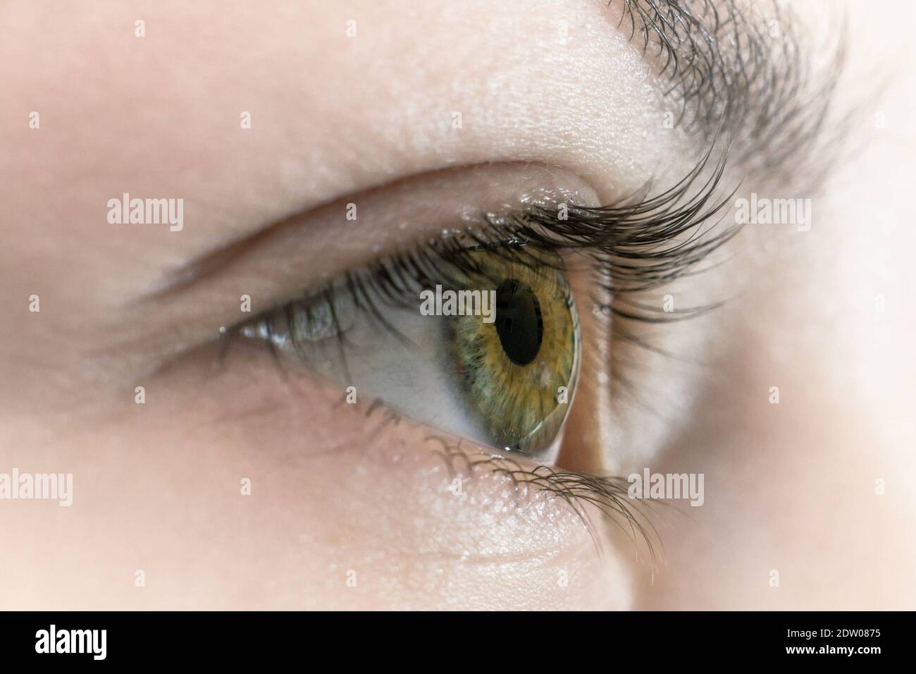 side view at a brown eye of a woman Stock Photo - Alamy