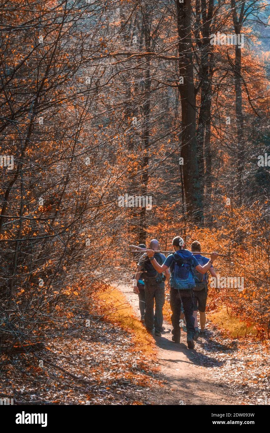 Group of people walking in pathway hi-res stock photography and images ...