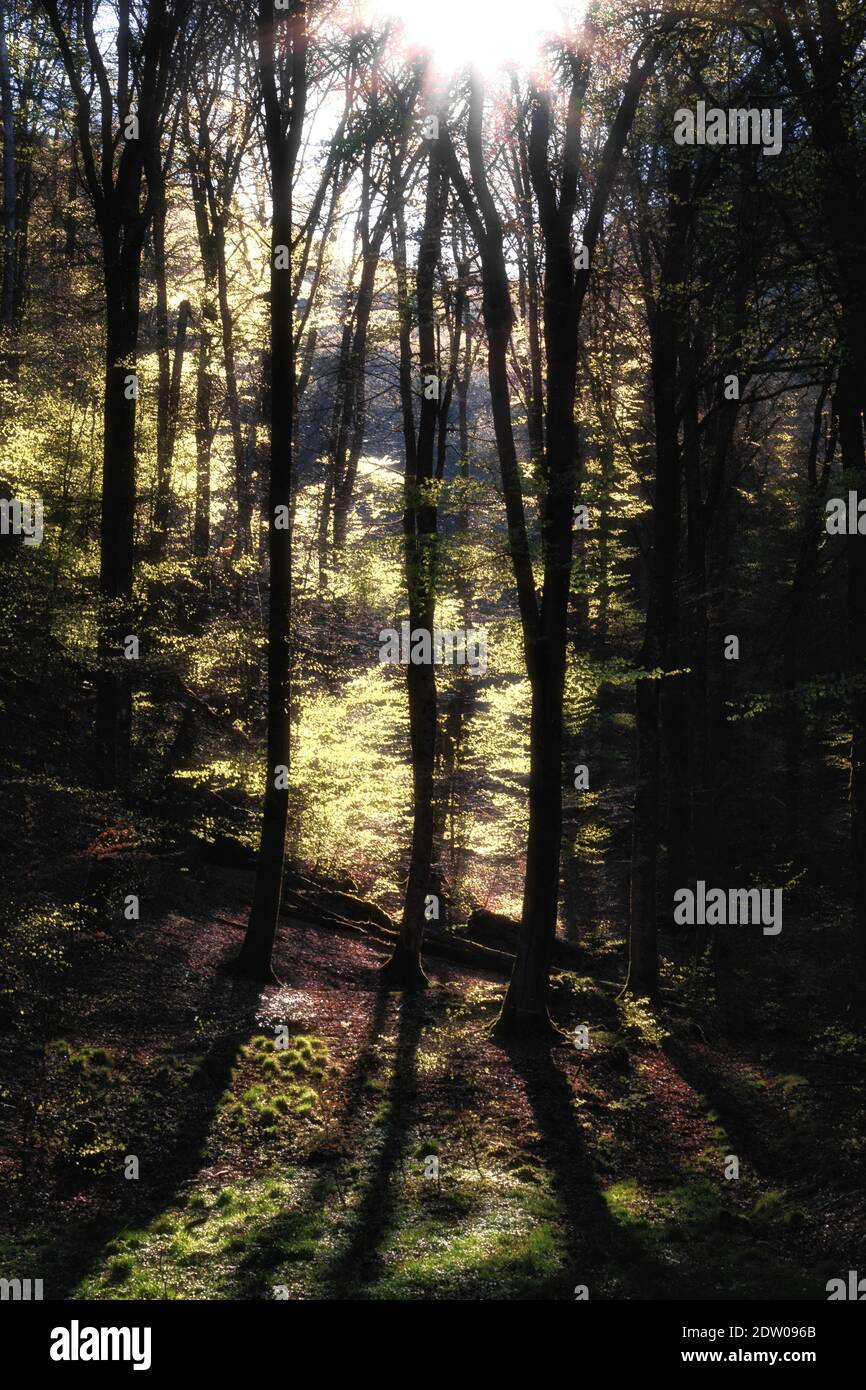 Light and shadow environment hi-res stock photography and images - Alamy