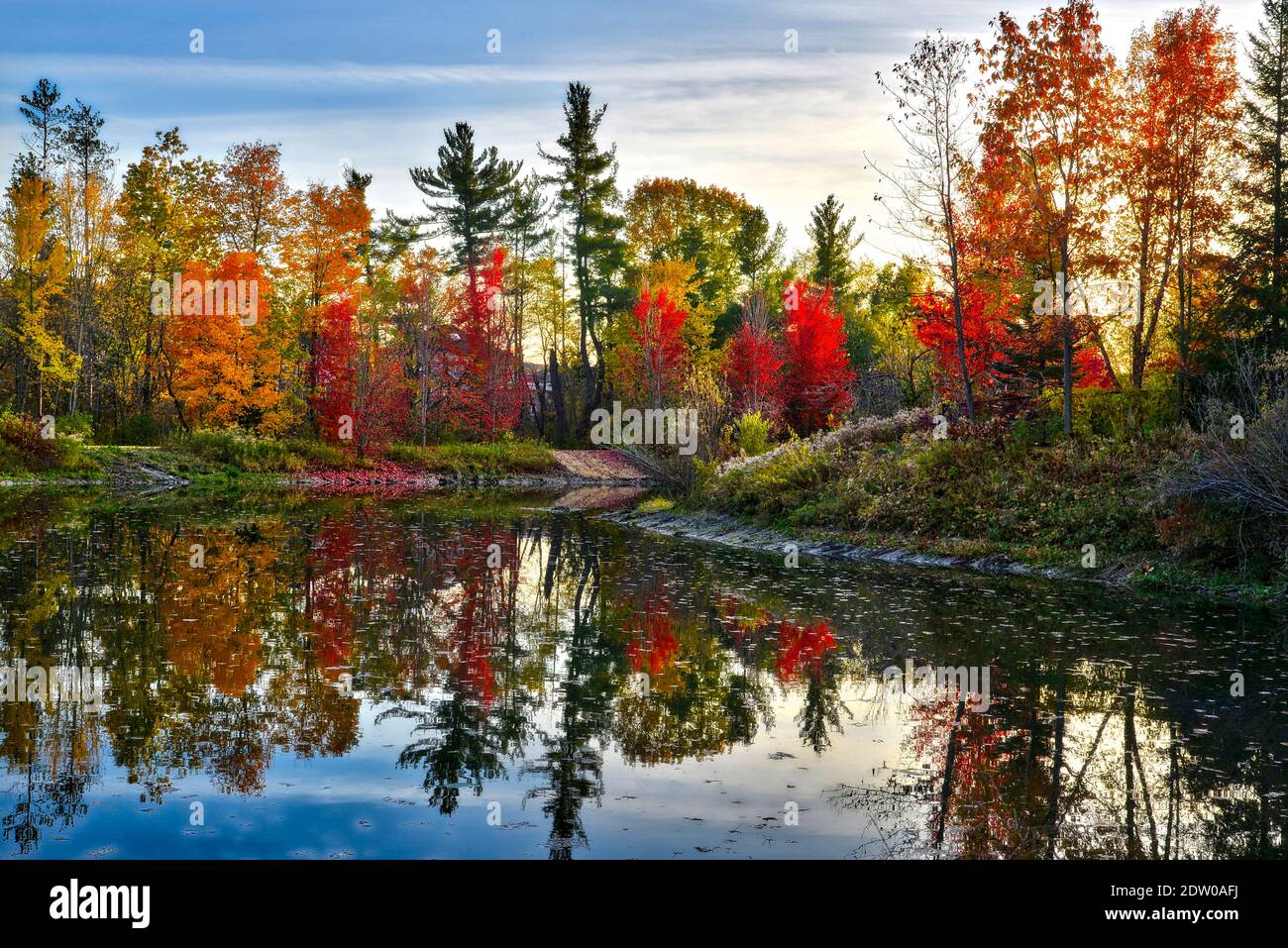 Picturesque autumn scenes of autumn leaf color in the park Stock Photo ...