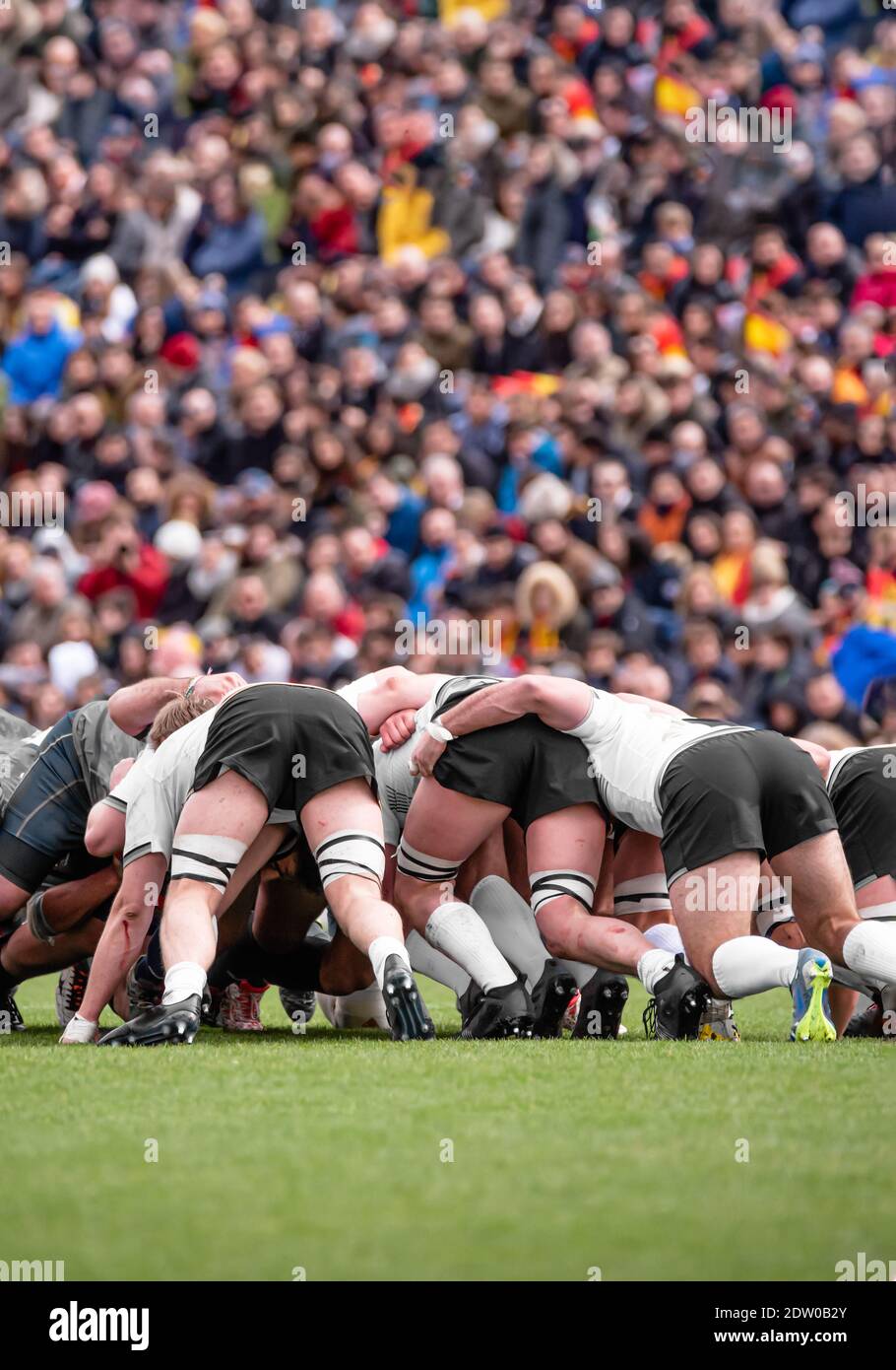 Team playing rugby Stock Photo - Alamy