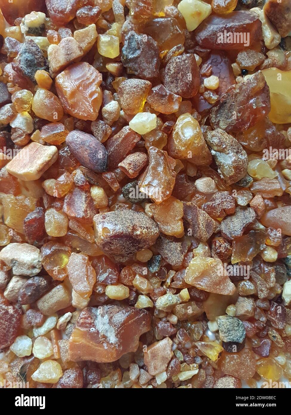 Amber bernstein hi-res stock photography and images - Alamy