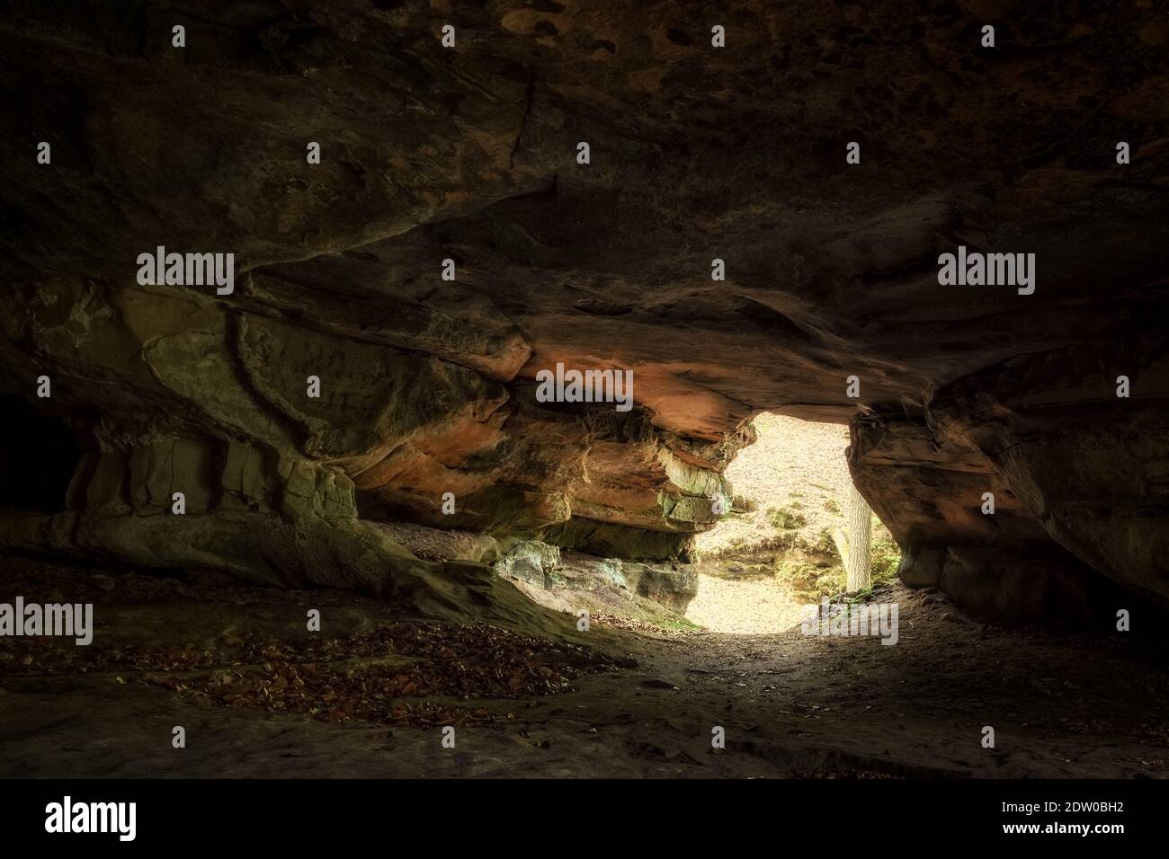 inside a cave looking outside into forest Stock Photo - Alamy