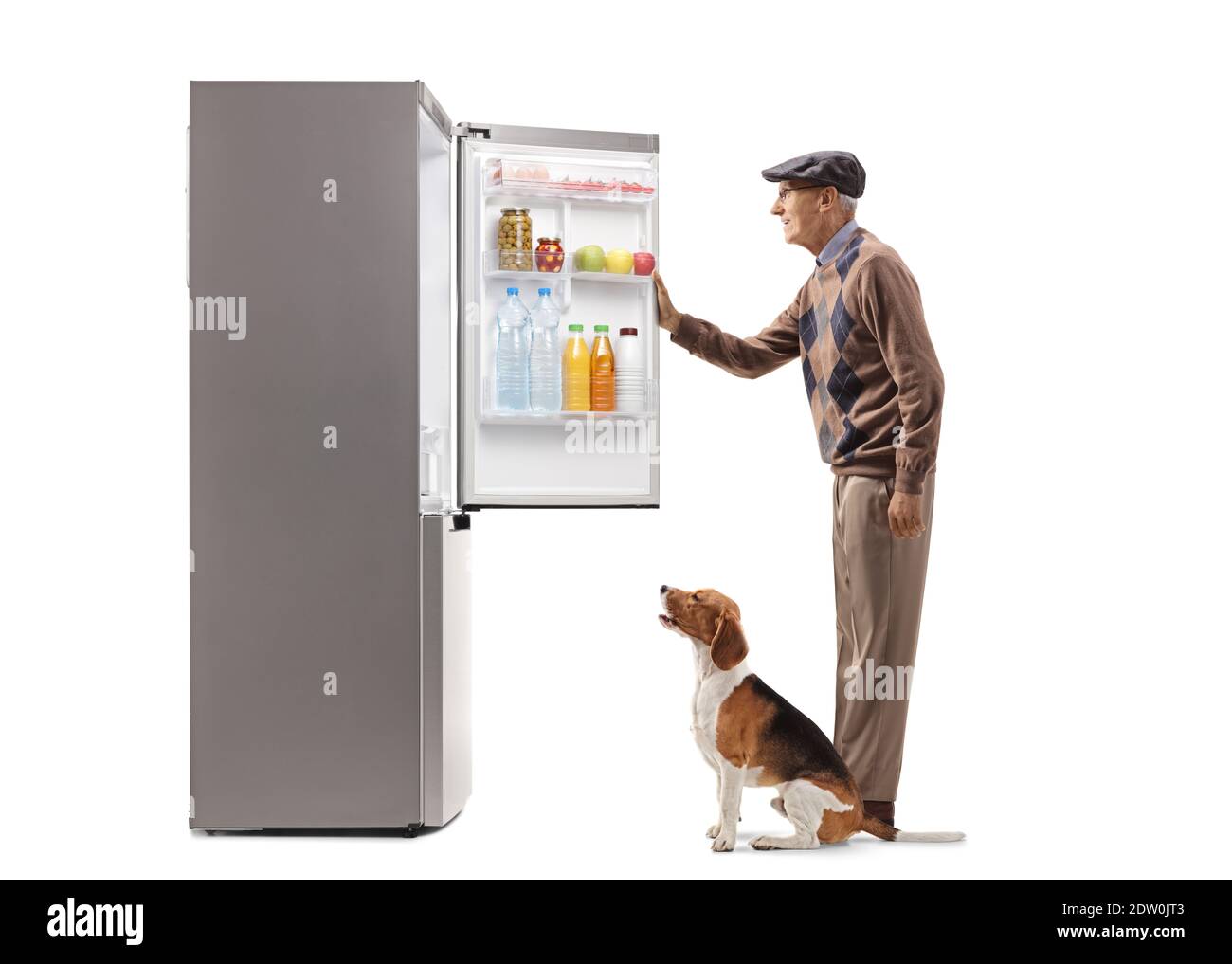 Full length profile shot of an elderly man and a beagle dog in front of ...