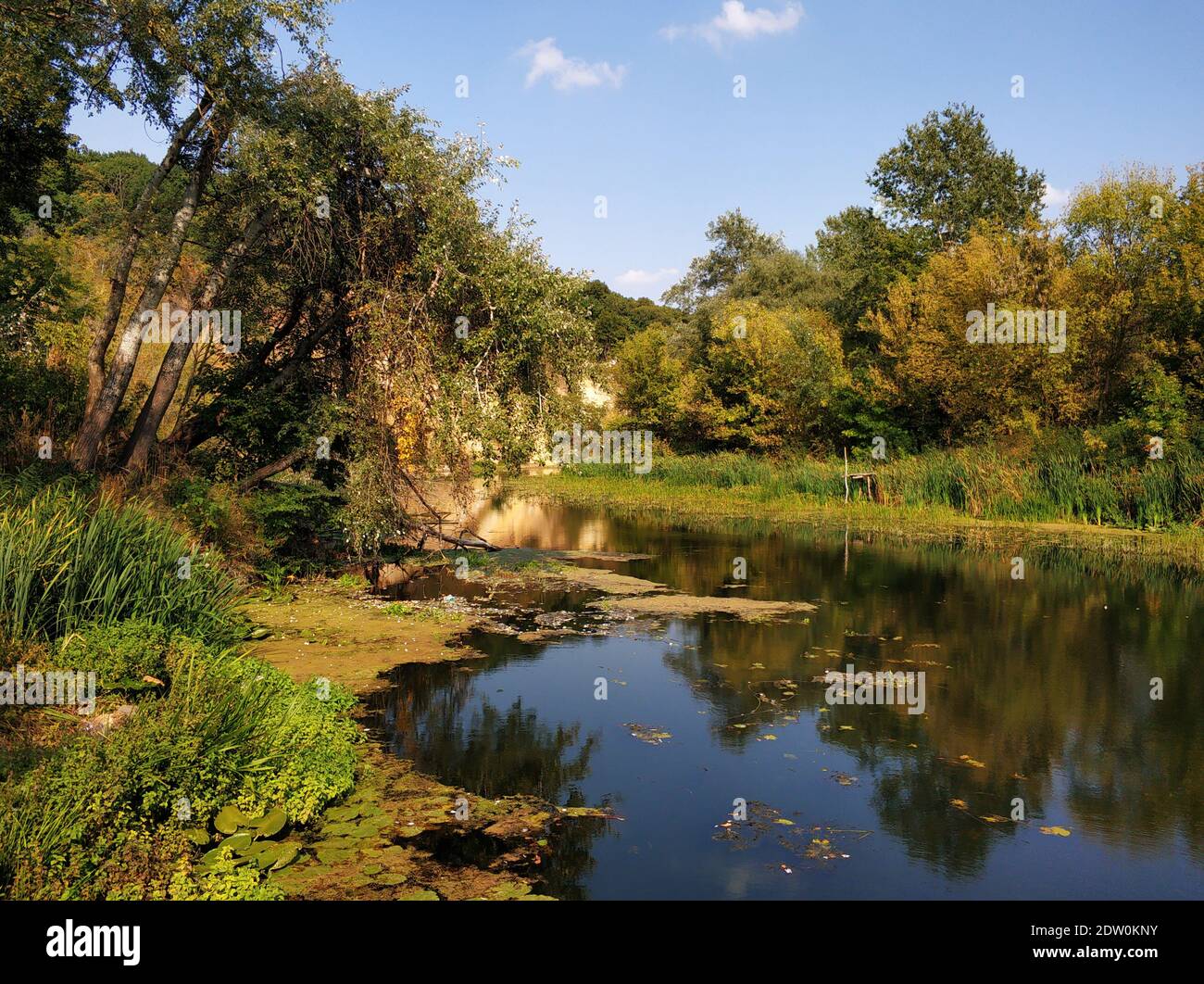 Natural landscape. A pond in a quiet secluded location Stock Photo - Alamy