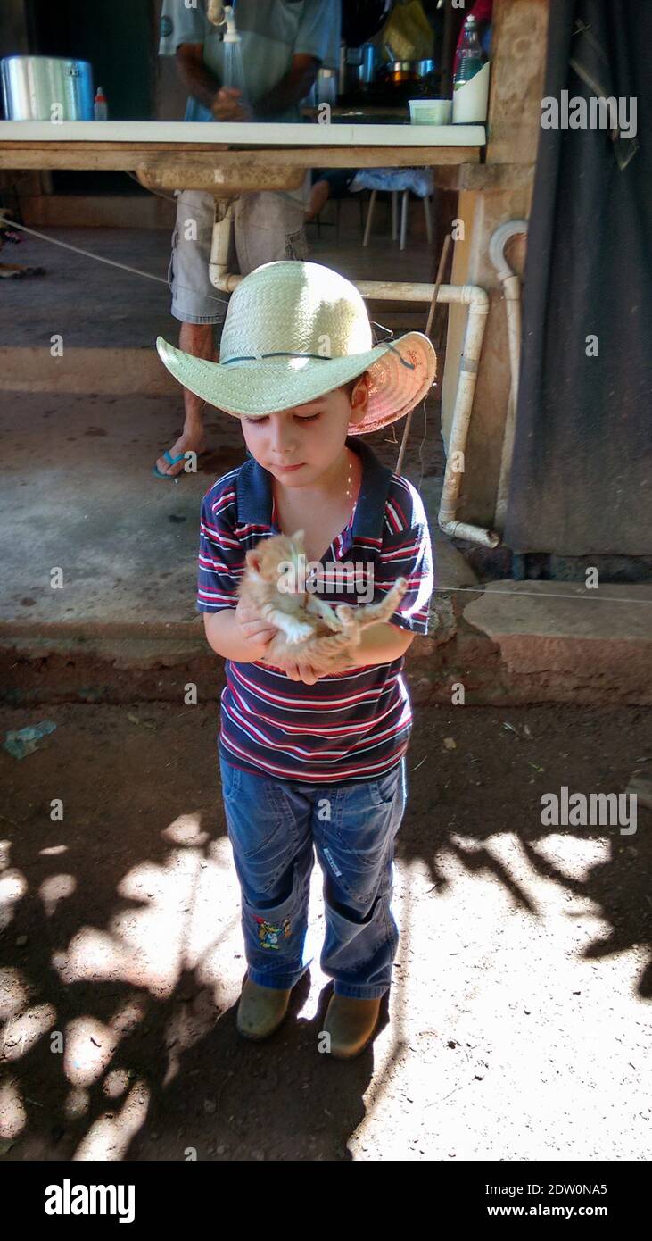 Full Length Of Cute Boy Holding Cat While Standing Outdoors Stock Photo ...
