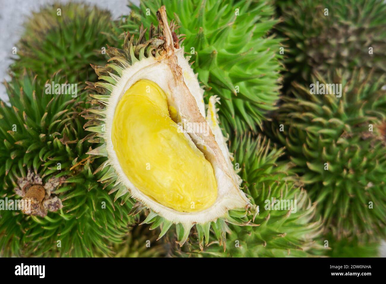 Cross section the fruit the durian hi-res stock photography and images ...