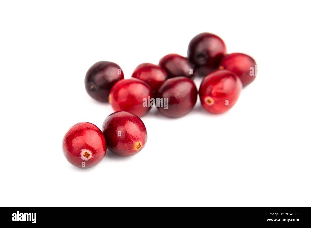 Cranberries isolated on white background. Heap of fresh red marsh ...