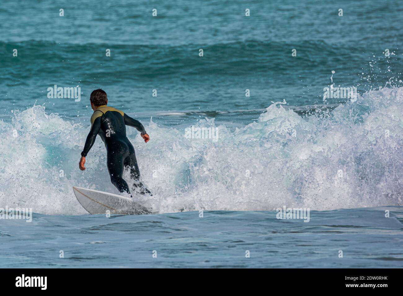 Surfer in the sea with his back to the camera Stock Photo - Alamy