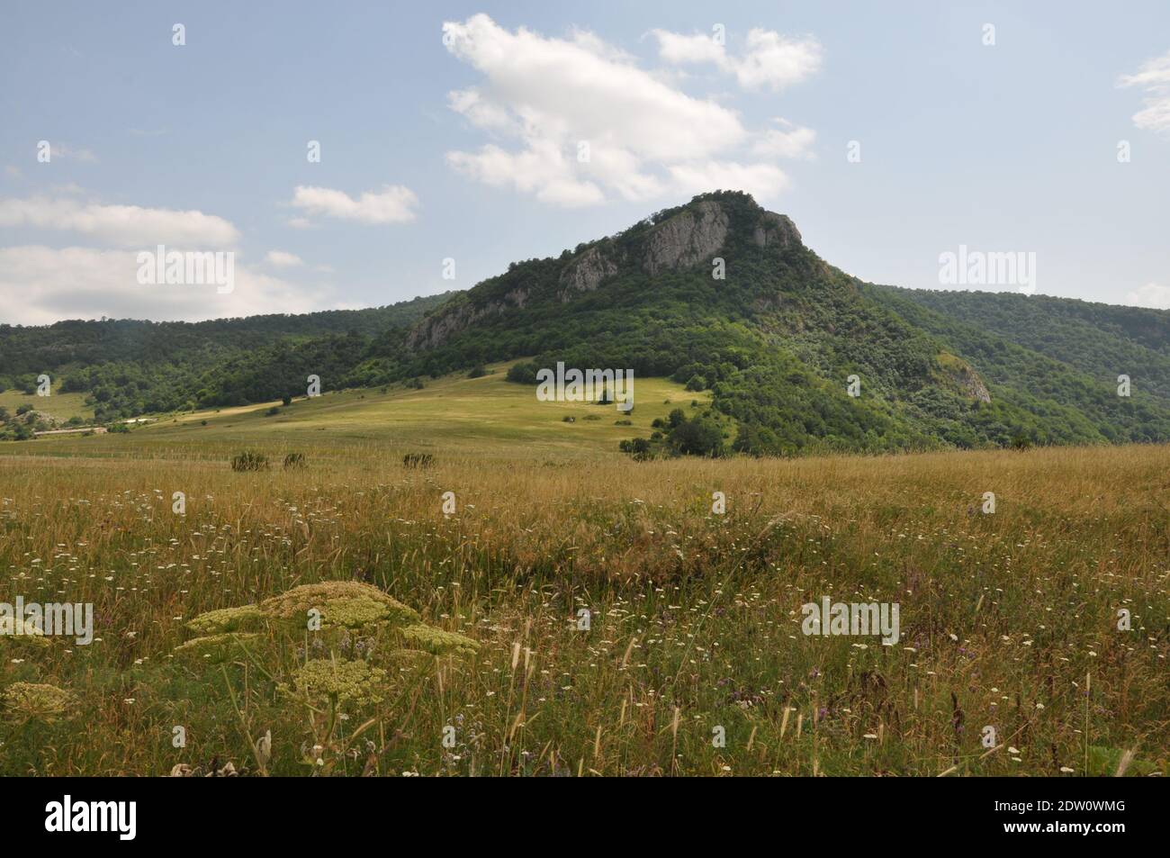 A landscape view of green hills Stock Photo - Alamy