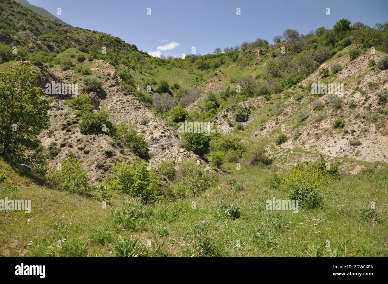 A landscape view of green hills Stock Photo - Alamy