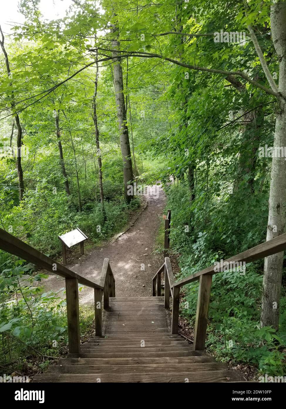 Stairs of wooden footbridge hi-res stock photography and images - Alamy