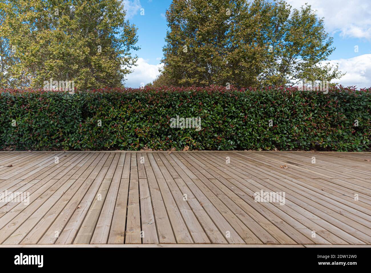 Wooden bleachers with public park space Stock Photo - Alamy