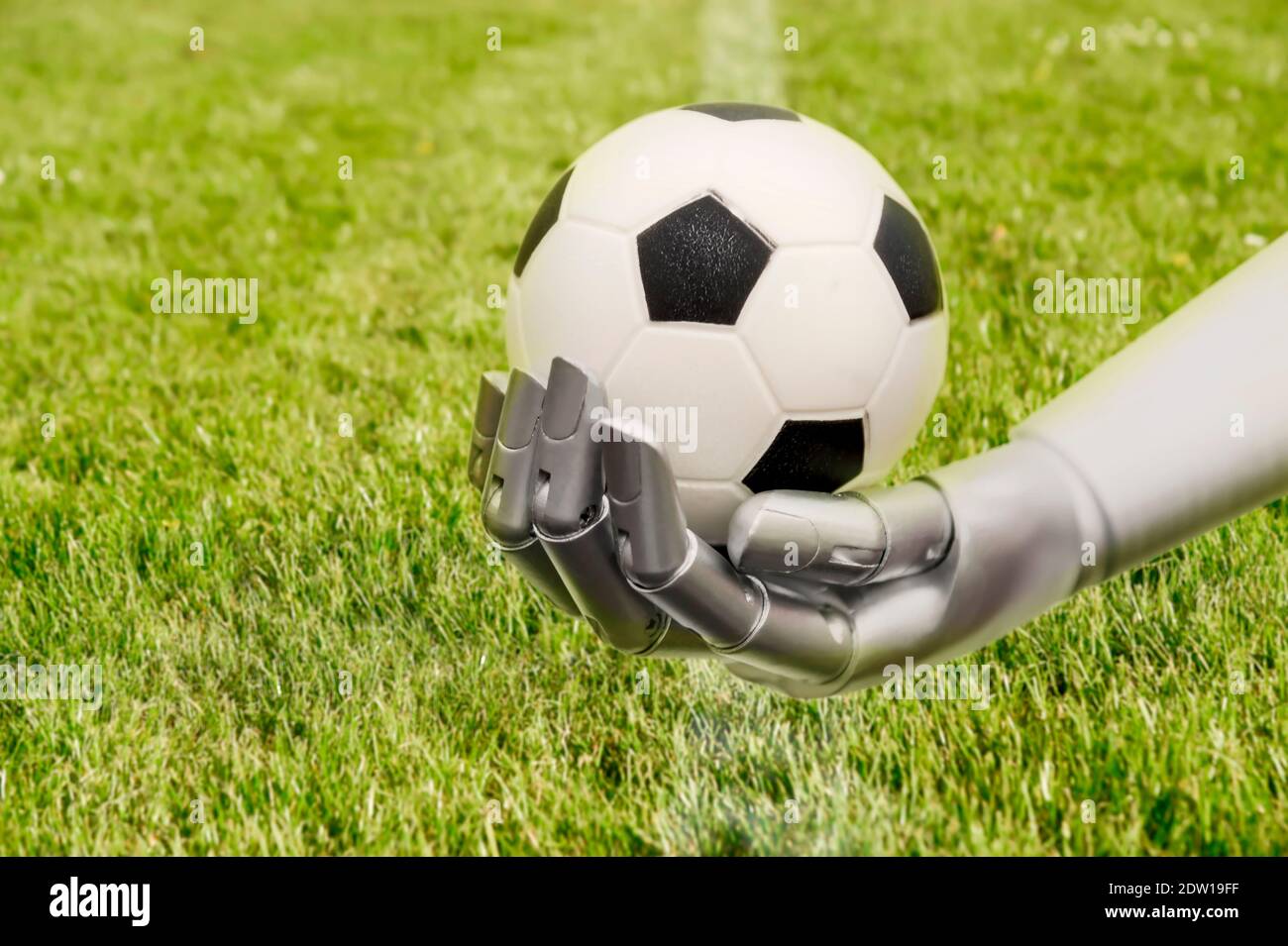 Soccer grass field hi-res stock photography and images - Alamy