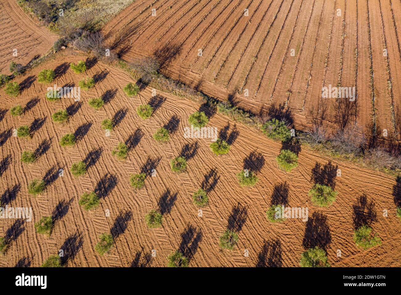 Aerial photography of agriculture hi-res stock photography and images ...