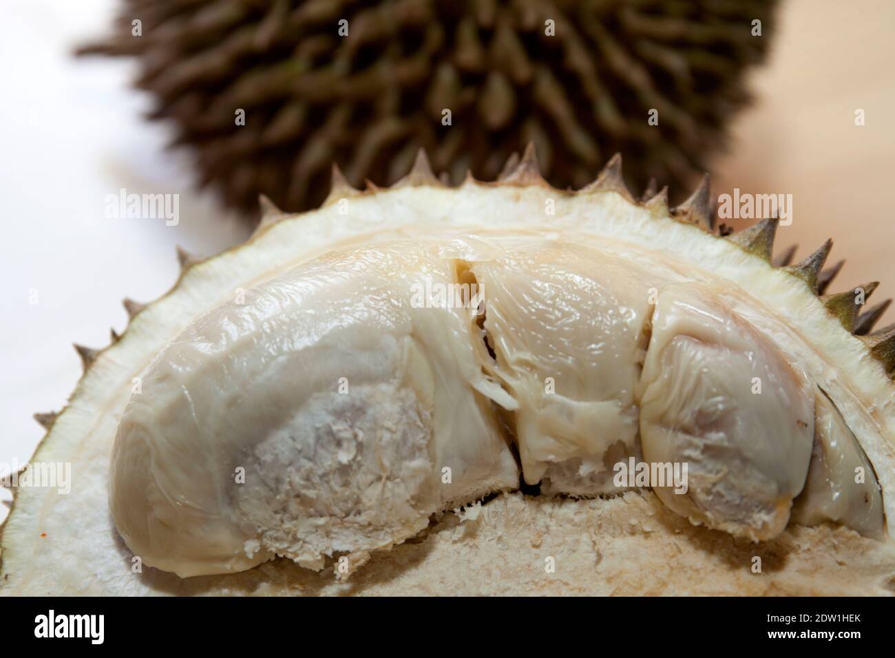 Cross section the fruit the durian hi-res stock photography and images ...